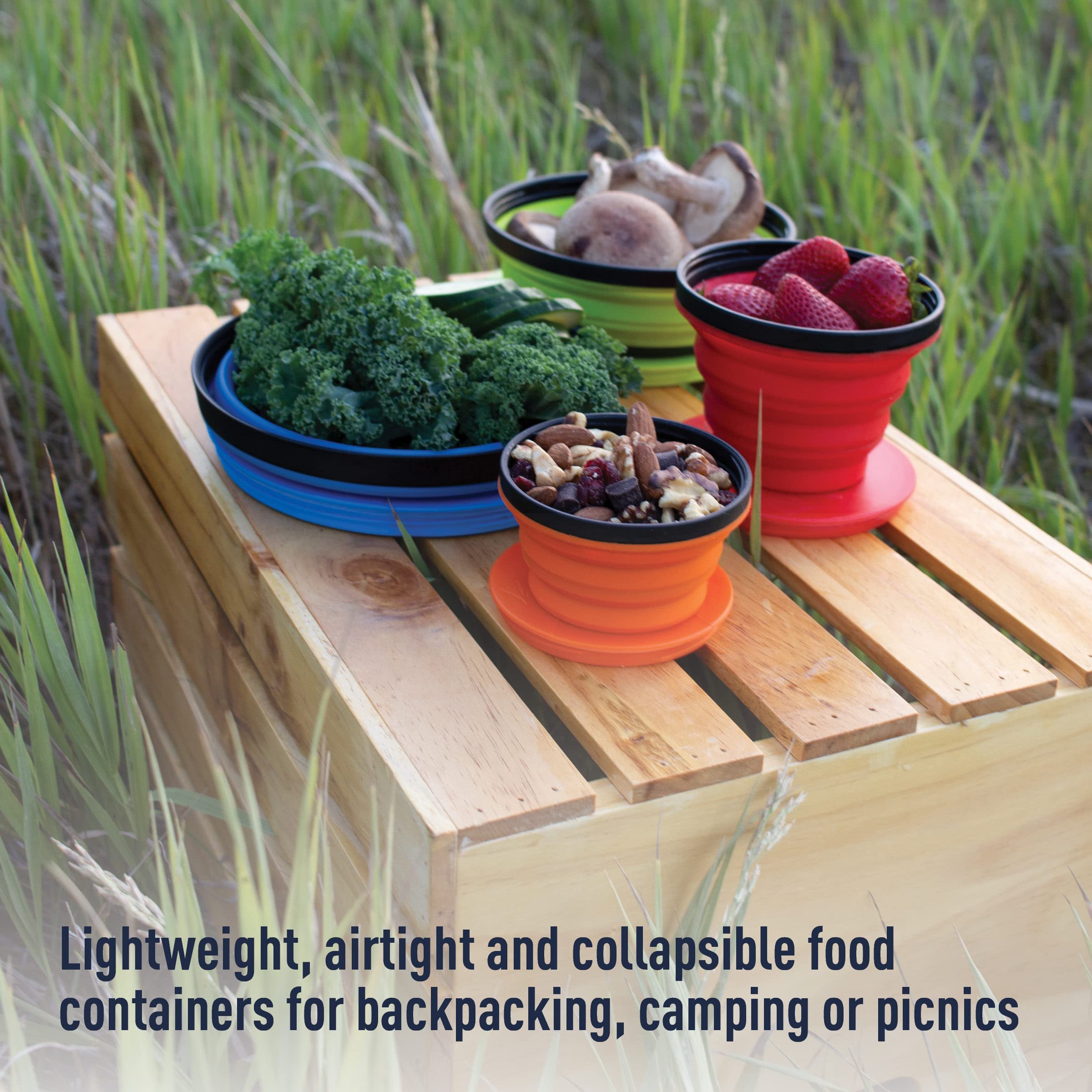 Sea to Summit X-Seal & Go Collapsible Food Storage Container, XL (28.8 oz), Rust