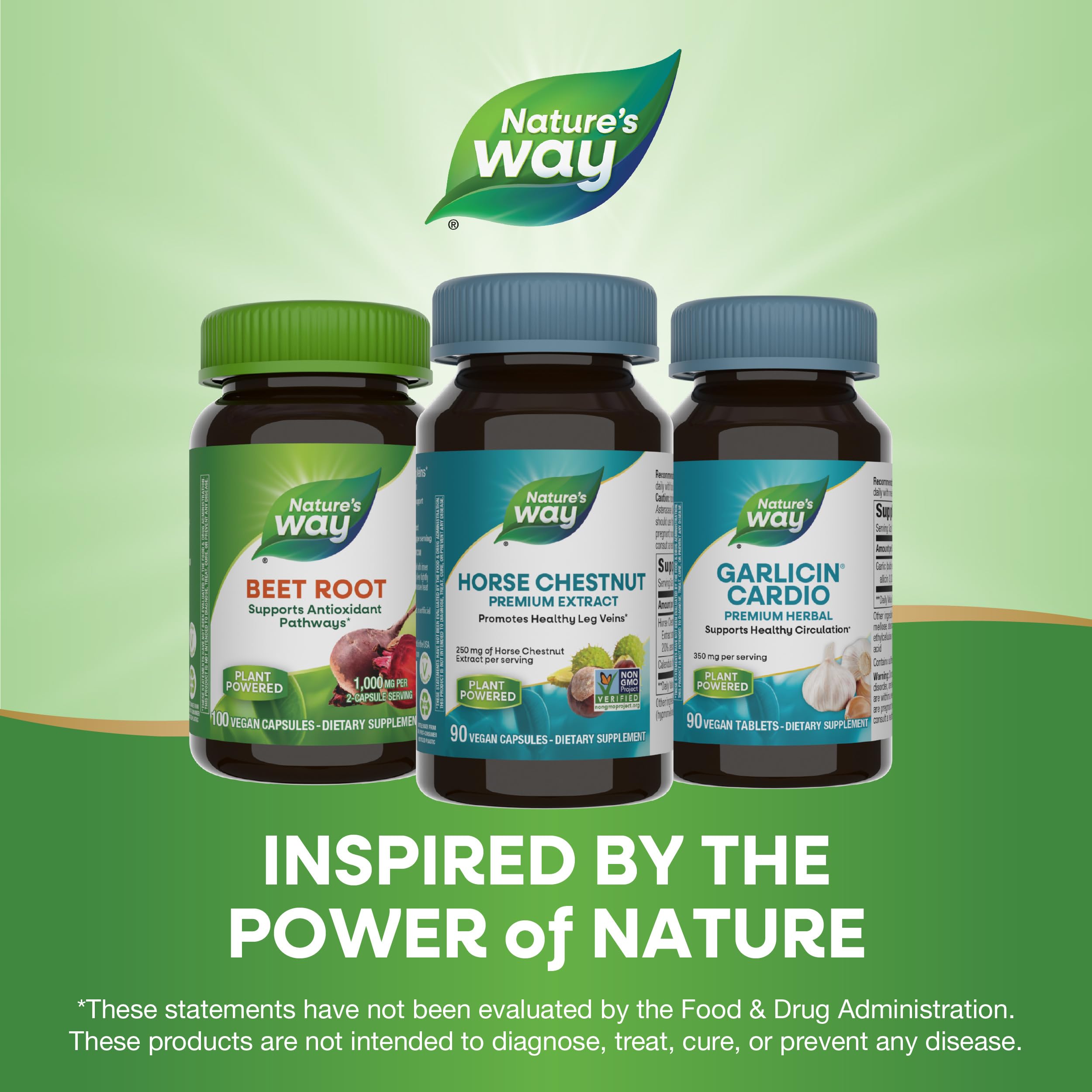 Nature's Way Standardized Horse Chestnut, Premium Extract, Promotes Healthy Leg Veins*, 250 mg per Serving, Vegan, 90 Capsules (Packaging May Vary)