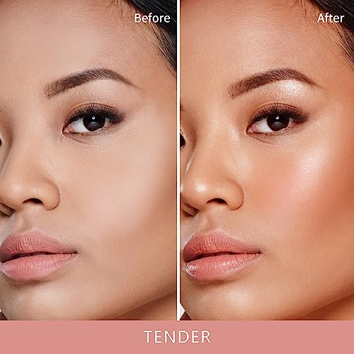 MYMERRY Blush Stick, Cream Blush for Cheeks and Lip Tint, Dewy Finish, Buildable & Blendable Color, Lightweight & Long-Lasting Formula | Tender-Peach & Angled Blush Brush(0.53fl.oz)