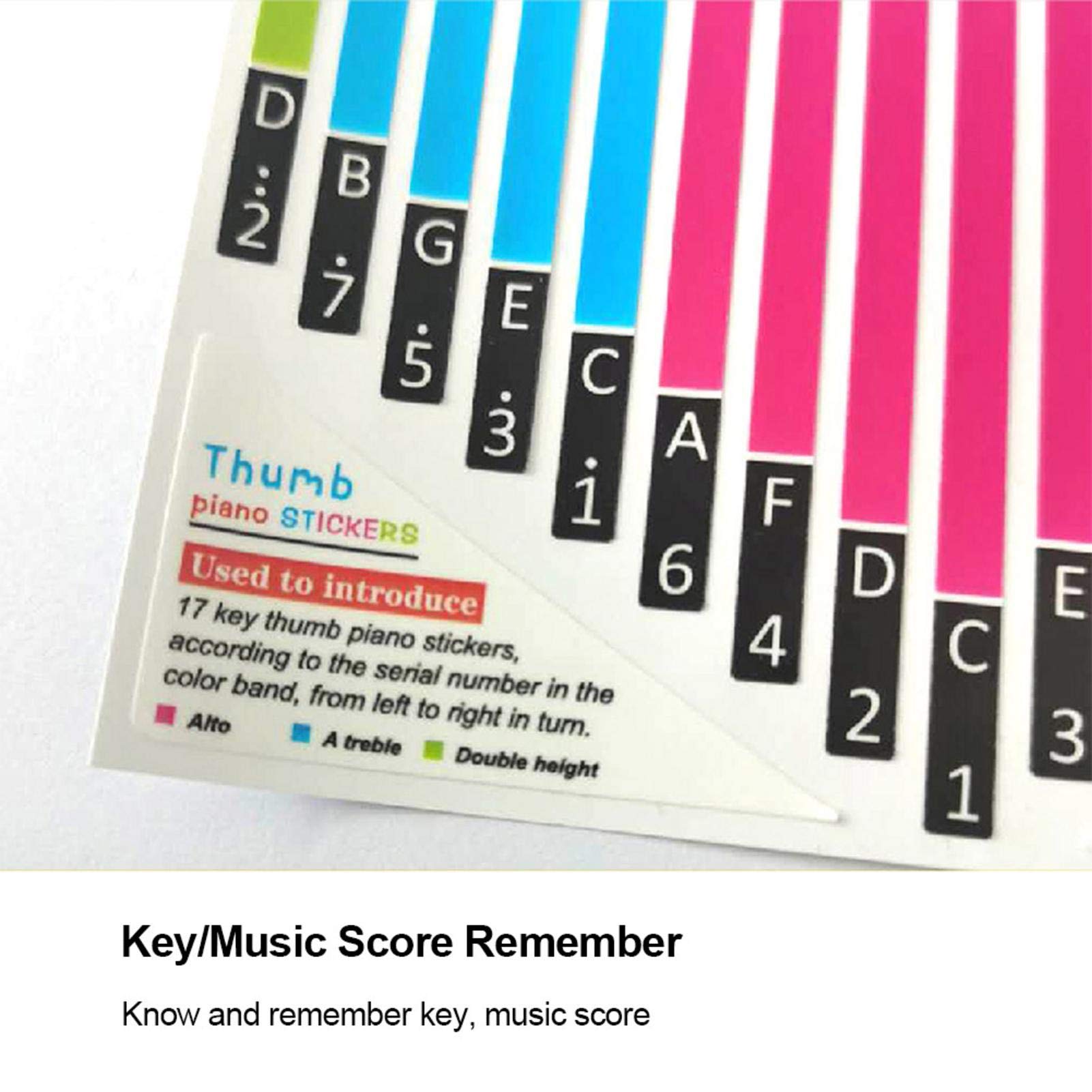 narratorbook 17-Key Thumb Piano Sticker Kids Beginner Note Stickers Thumb Piano Key Sticker for Kalimba Thumb Piano Repair Parts Musical Instruments