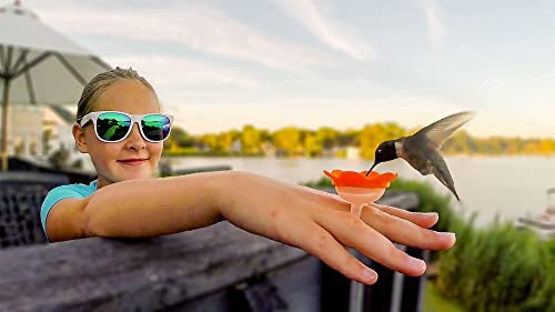 ZUMMR Hummingbird Ring Feeder (Red) - Hand Feed Hummingbirds Right in Your Backyard. Get up Close and Personal with Nature. Proudly Made in The U.S.A. - The Original