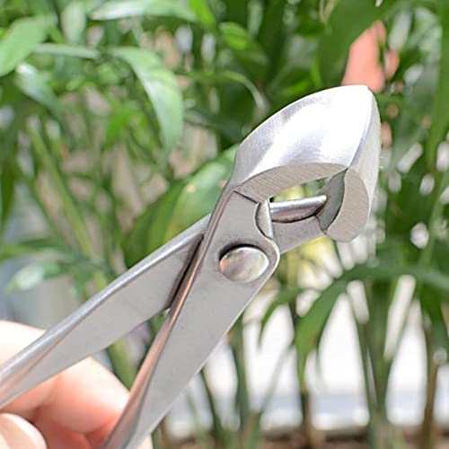Socobeta Concave Root Cutter, Abrasion Resistant Bonsai Cutters Stainless Steel High Hardness Professional 21cm/8.27in Effective Rustproof for Gardening Tool
