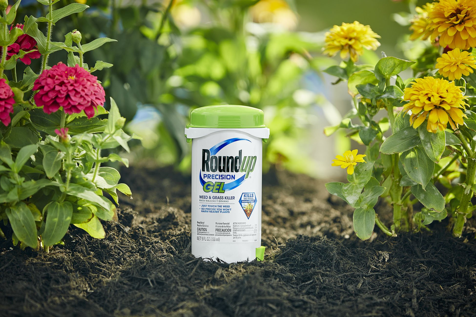 RoundUp Precision Gel Weed & Grass Killer 5 OZ (150ML)