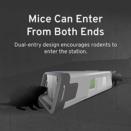 Victor M923 Fast-Kill Brand Ready-to-Use Refillable Mouse Station β 20 Blocks