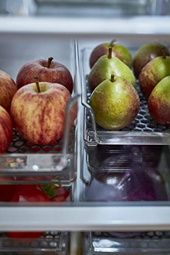 Spectrum Diversified Hexa in-Fridge Small Refrigerator Bin for Storage and Organization of Fruit Vegetables Produce and More, 8.5 x 6 x 2.25, Clear/Dark Gray