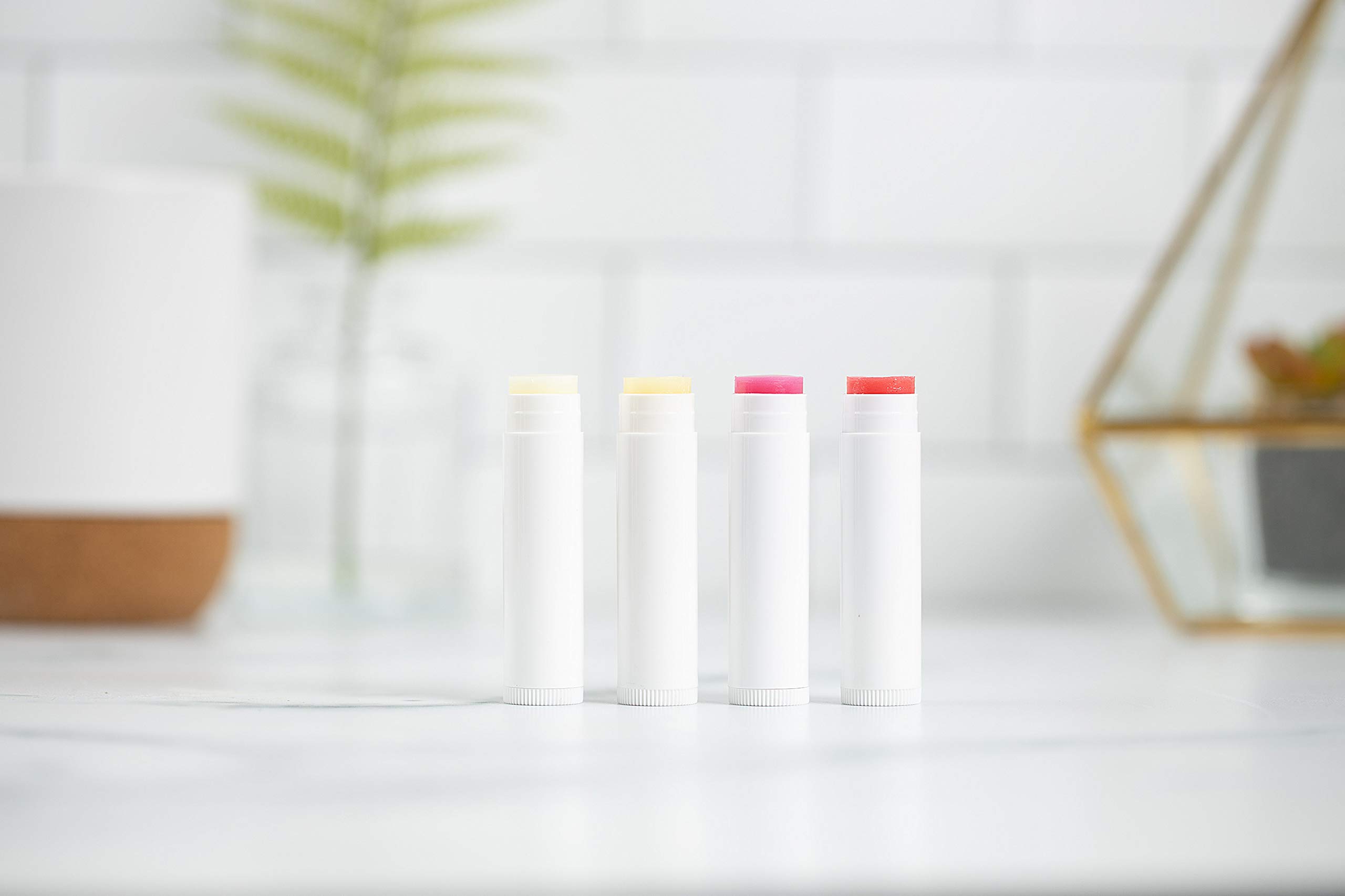 MHO Containers | Empty, White Lip Balm Containers - 30% Recycled PP Plastic - Made in USA - 0.15 oz - 50 count