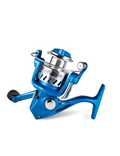 LLJPYX7L Fishing Reel with 2 Bearings, Large-Capacity Fishing Reel for Beginners, 5.0:1 Gear Ratio, Left/Right Rocker arm Interchangeable, Suitable for Beginners (Size : 6000)