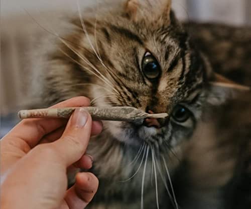 Meowijuana | Get Higher Bundle | Get Higher Kite, King Size Catnip Joints, and Whisker Tickler | Promotes Play and Cat Health | Includes Organic Catnip | Feline and Cat Lover Approved
