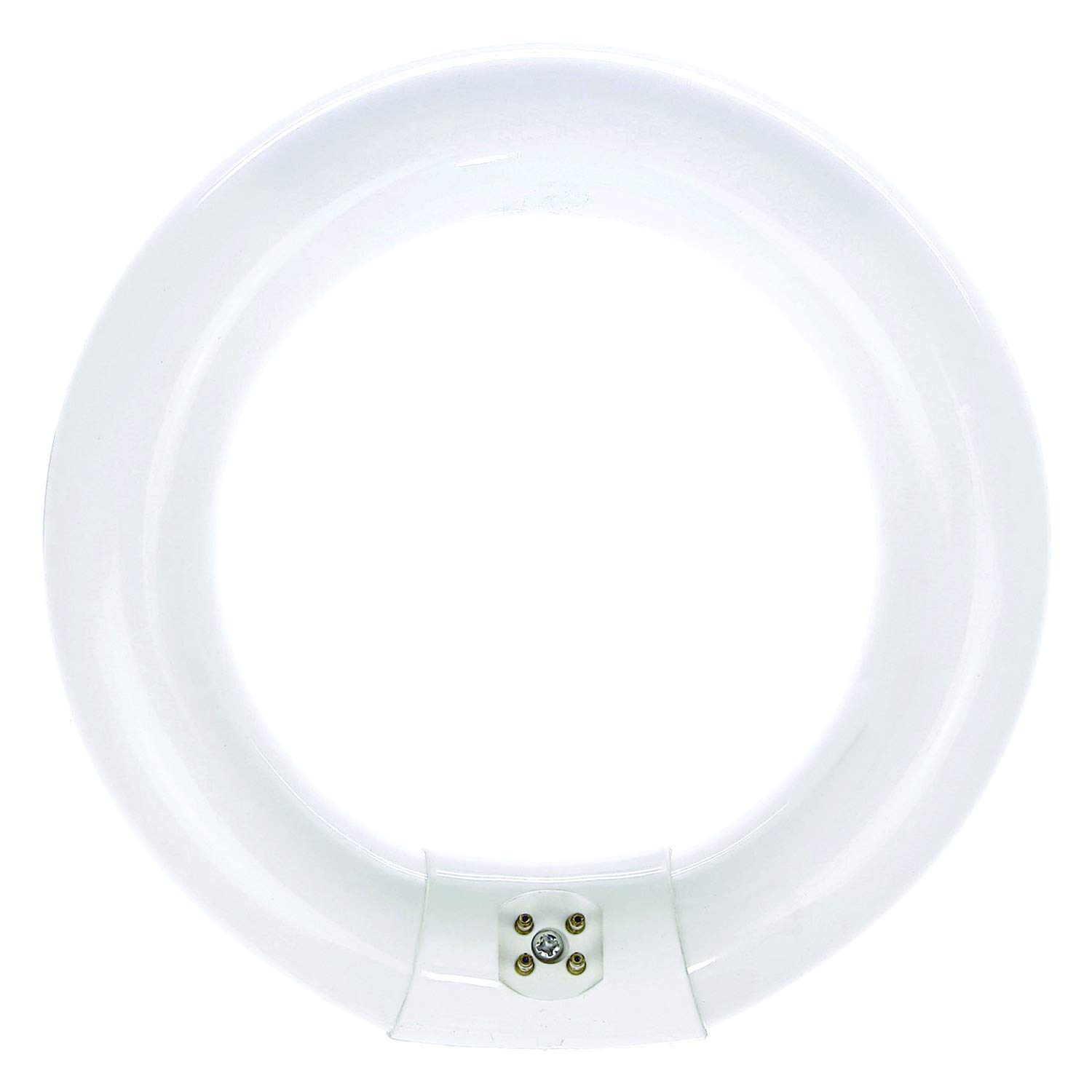 Luxrite LR20575 FC8T9/D 22-Watt 8 Inch T9 Fluorescent Circular Light Bulb, Daylight 6500K, 980 Lumens, G10Q 4-Pin Base, 1-Pack