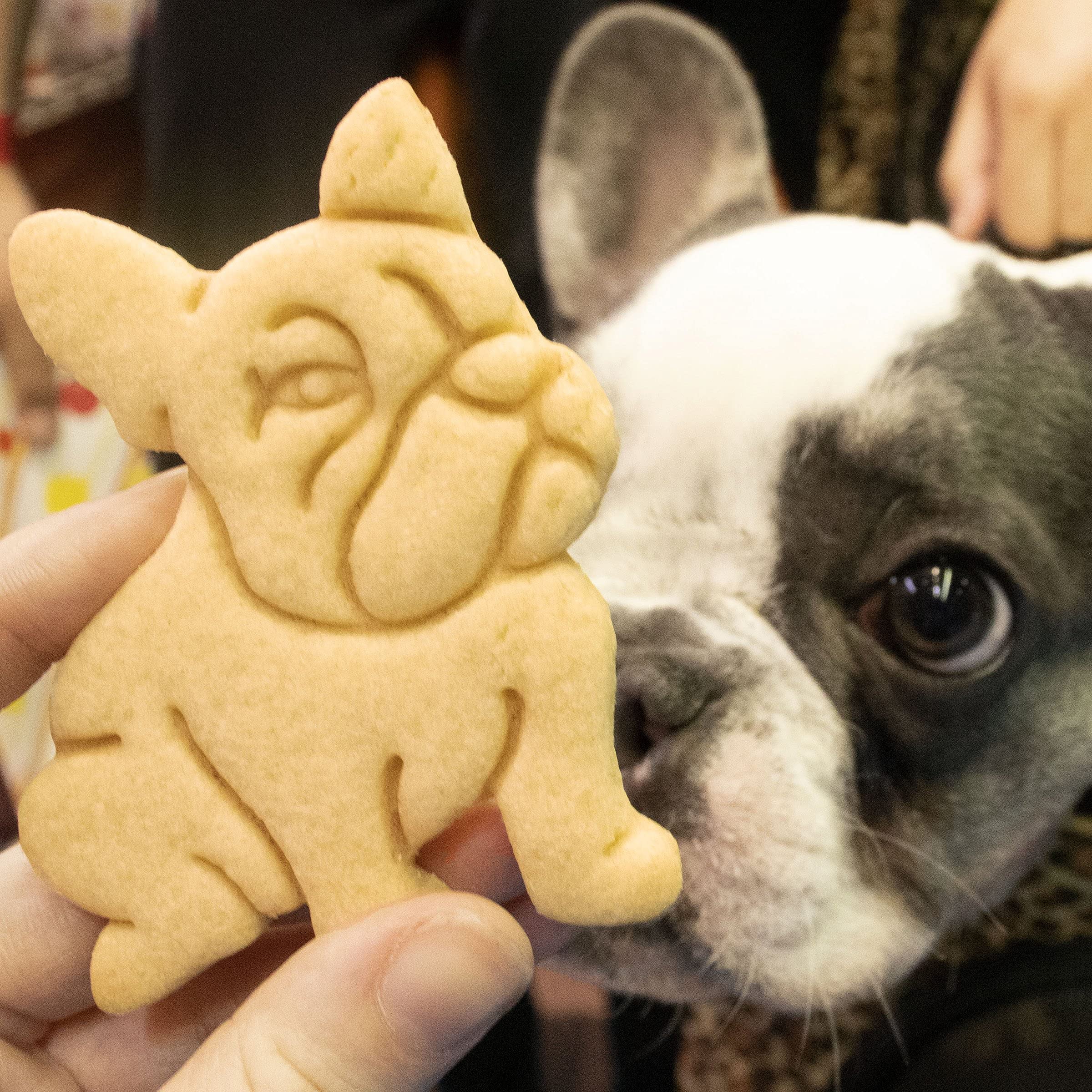 Set of 2 French Bulldog cookie cutters (Designs: Body & Face), 2 pieces - Bakerlogy