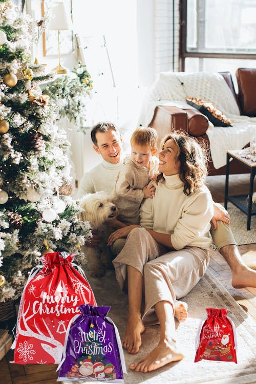 Lyforpyton 12 Pack 9.8" Medium Christmas Gift Bags With Tissue Paper