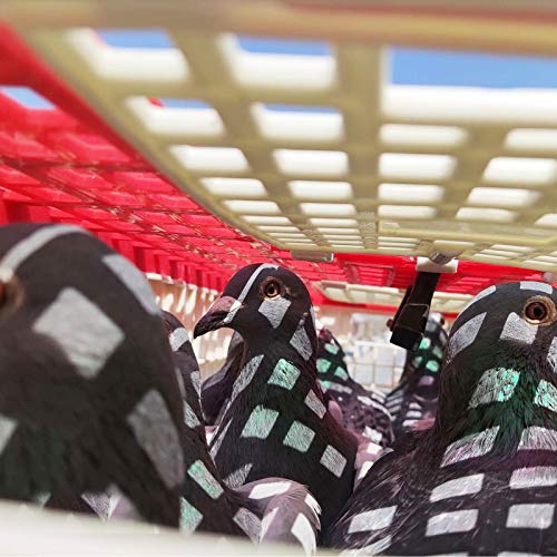 RP PIGEON Plastic Pigeon Cage, Portable Foldable, 24x12x9in, Green