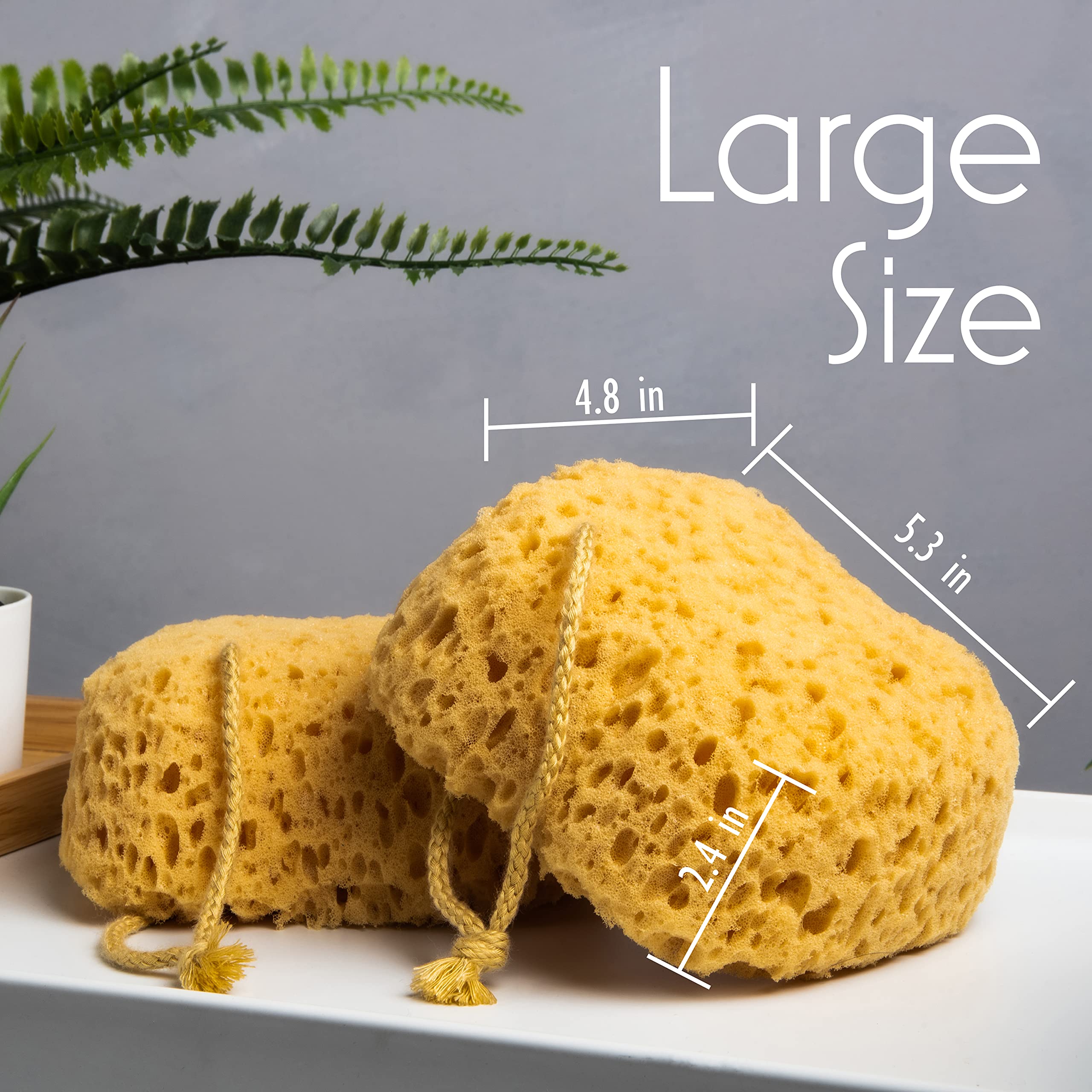 myHomeBody Premium Bath Sponge, Foam Loofah Sponge, Body Sponge for Shower - Large Size, Lots of Lather, Curvy, 3 Pack