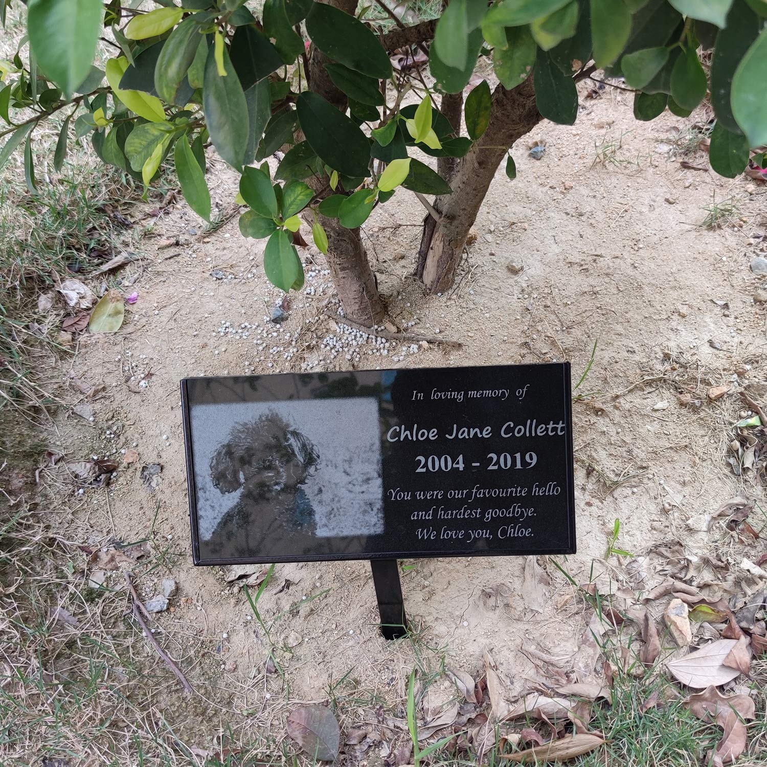 WAQL Grave Marker Stand for 6"x 12" Stones, Memorial Stones for Loved One