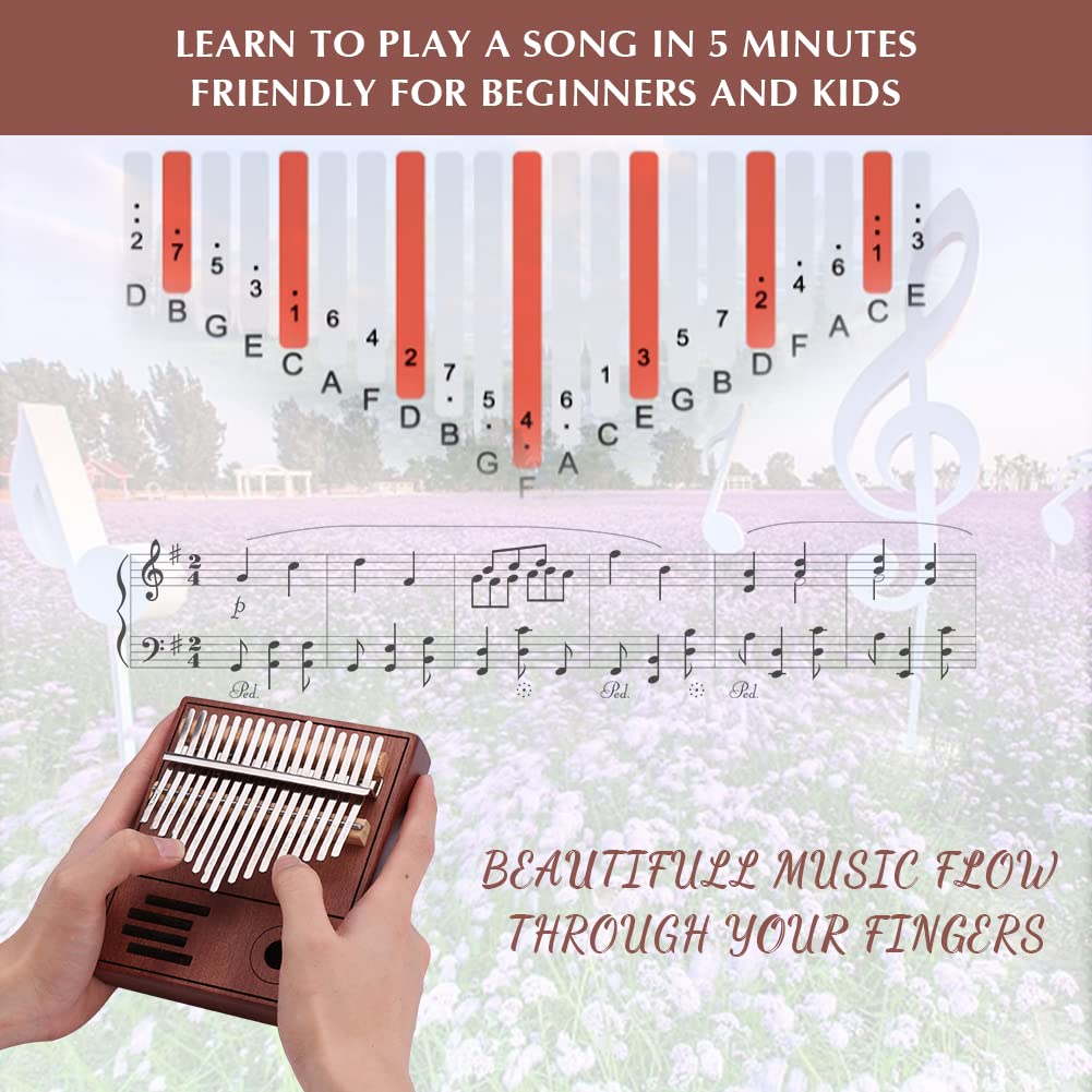 Saycker Thumb Piano,Portable 17 Keys Thumb Pianos Musical Instruments Set,Easy to Learn,Musical Instruments for Kid Adult Beginners Professional(Retro Color)