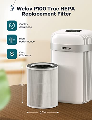 WELOV P100 / P100 Pro Air Purifier Replacement Filter, 3-in-1 H13 True HEPA and High-Efficiency Activated Carbon Filter for Pet Dander Hair Pollen Dust Mite Smoke Kitchen Odor