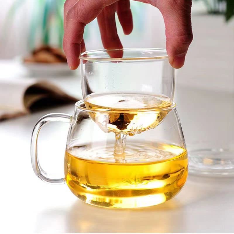 Set of 2 Glass Tea Cups Tea Mug with Infuser and Lid - Heat Resistant Borosilicate Glass, Clear Teacup with Strainer for Loose Leaf Tea, Blooming Tea, and Tea Bags - Ideal for Tea Lovers