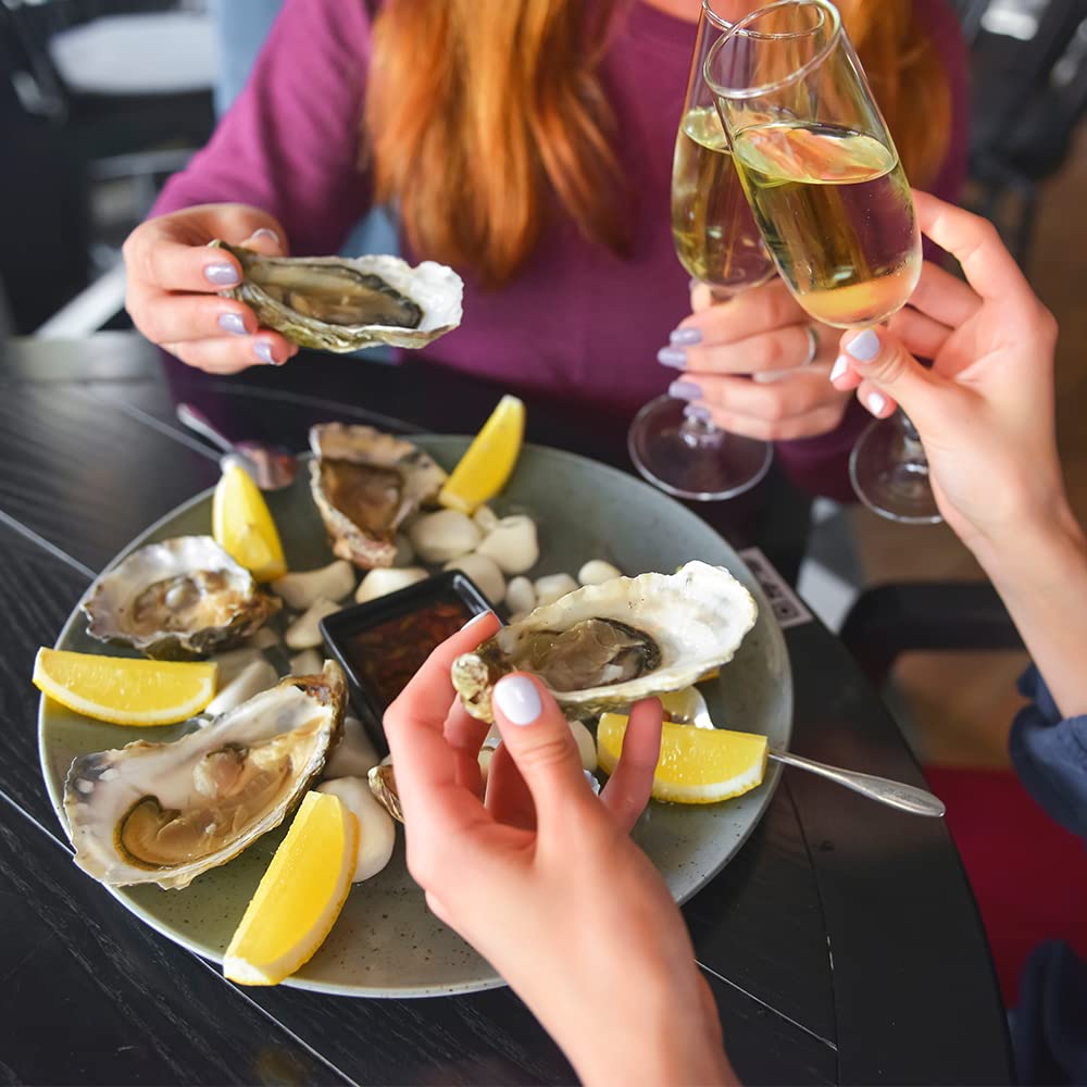 WENDOM Oyster Shucking Knife with Cut Resistant Gloves White Non-slip Easy to Grip Handle 3.5'' Oyster Shucker Kitchen Tools(1cloth+1lemon squeezer) (black1, large)