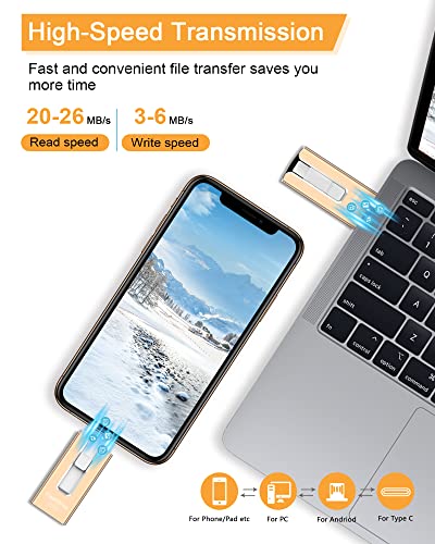 Sunany USB Flash Drive 256 GB for Phone and Pad, High Speed External Thumb Drives USB Memory Storage Photo Stick for Save More Photos and Videos (Gold)