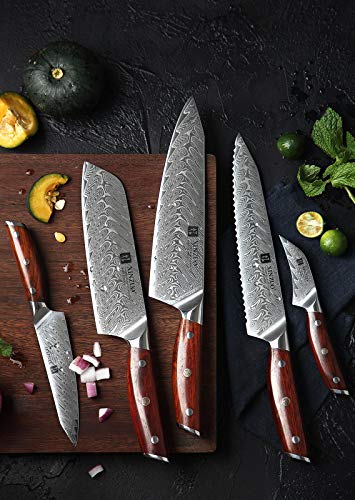 XINZUO 5-Piece Damascus Kitchen Knife Set, 67 Layer High Carbon Stainless Steel Forged Blade,Professional Chef Knife Set with Gift Box,Razor Sharp,Rosewood Handle - Yi Series