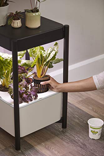 Miracle-Gro Twelve Transplanting Kit, Includes 4 Coir Liners and 4 Large Net Cups - Use Twelve Indoor Growing System - Designed for Growing Plants in Hydroponic Systems