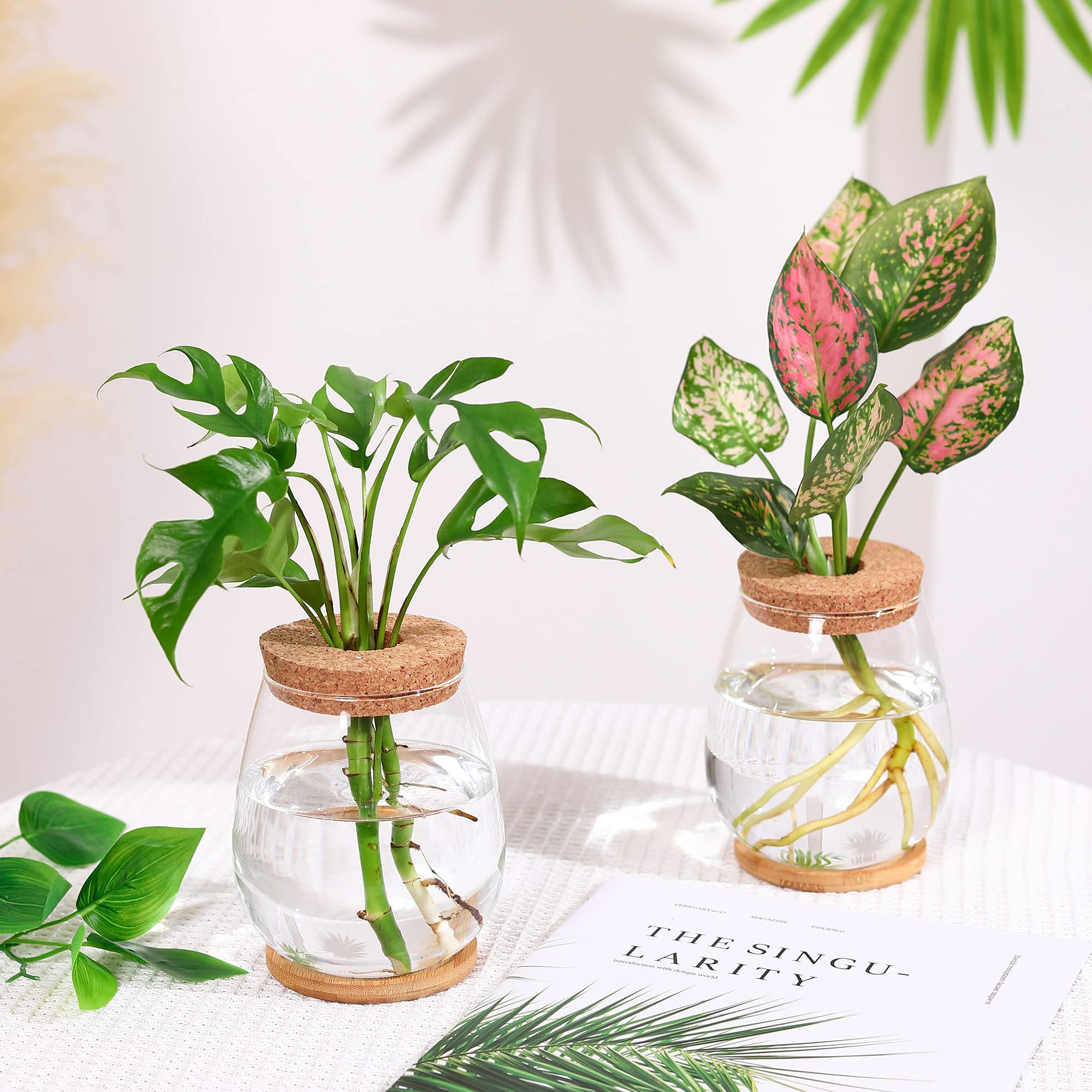 onepeng Propagation Stations, 2 Pcs Glass Planters with Wooden Tray & Lid, 5.2x4.2 inches, for Hydroponic Plants, Home Decor, Gardening Gifts for Women
