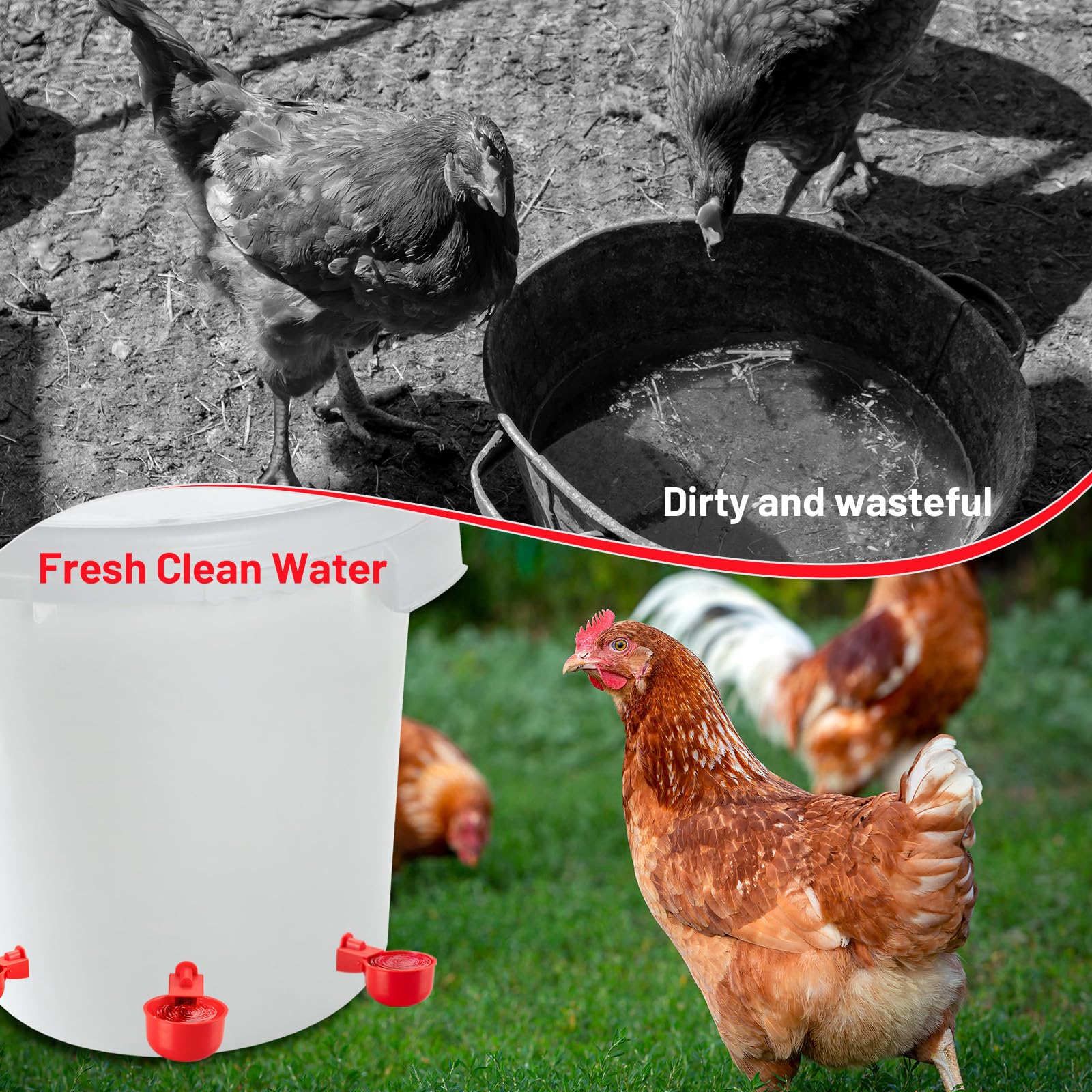 Sykria Chicken Water Cups, Automatic Waterer Kit for Poultry, 3/8 Inch Thread Filling Poultry Drinking Bowl Chicken, Ducks, Birds, Turkeys etc (6 Pack)