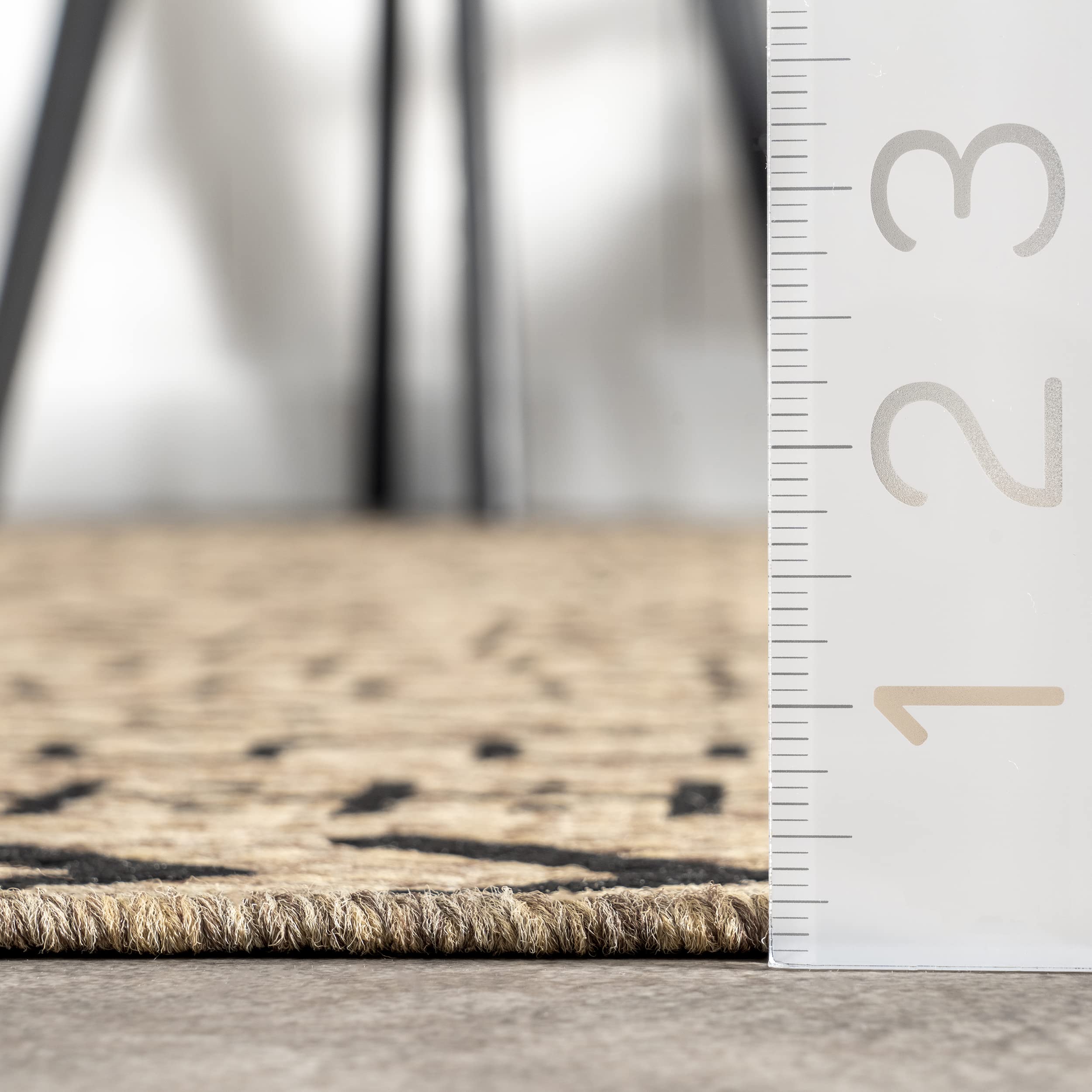 nuLOOM Outdoor Jamie Area Rug, 6x9, Brown