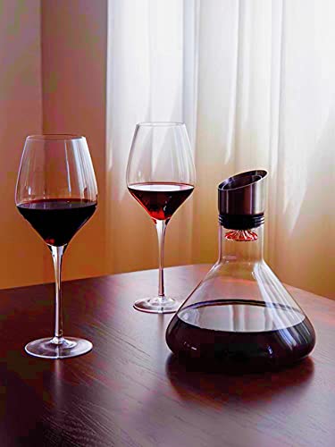 Smaier Wine Decanter Built-in Aerator Pourer(750ml), Wine Carafe Red Wine Decanter,100% Lead-free Crystal Glass, Wine Hand-held Aerator, Wine Gift, Wine Accessories