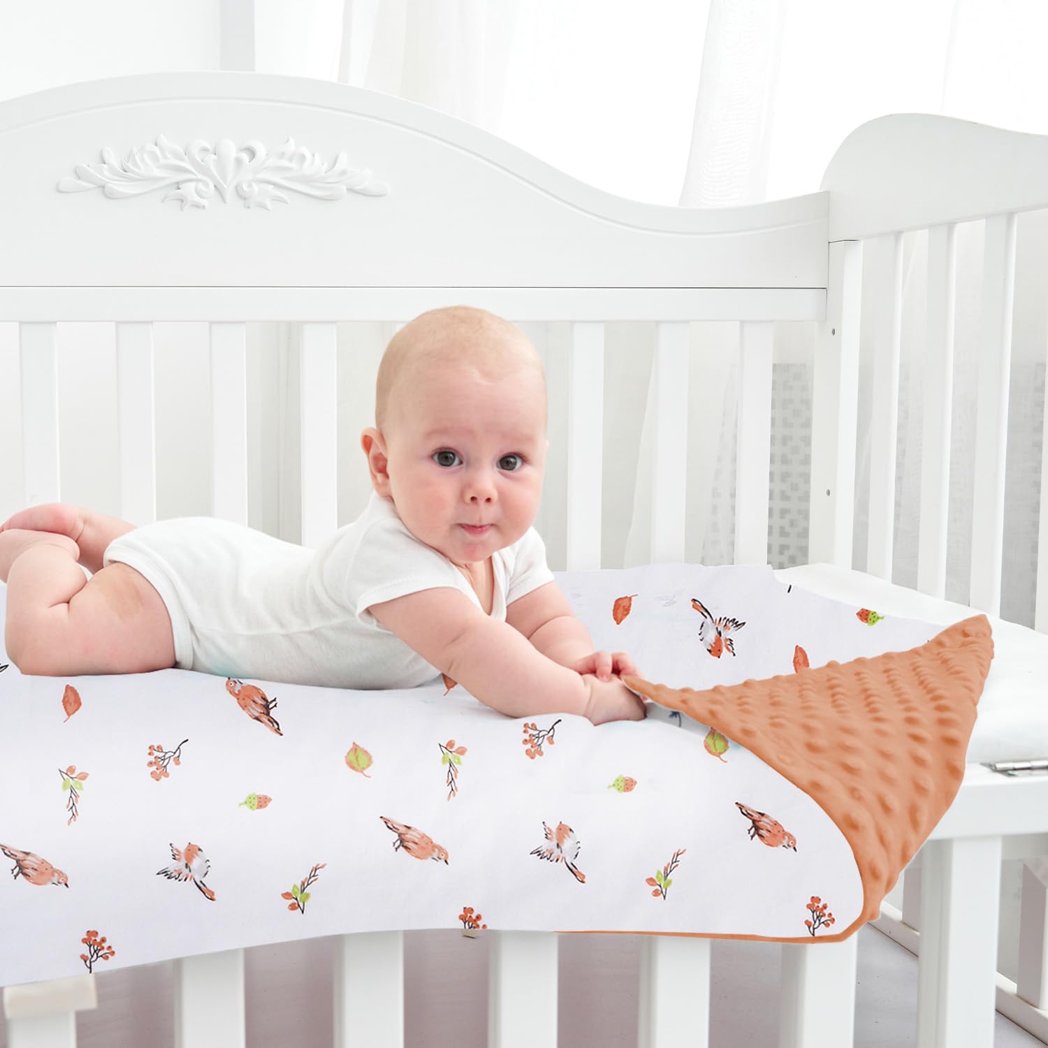 Micro Soft Plush Baby Blankets for Boys Girls Double Layer Toddler Baby Bed Blankets Throws with Raised Dots for Stroller Crib Shower Gifts (Pink Bird, 30x40 Inch)