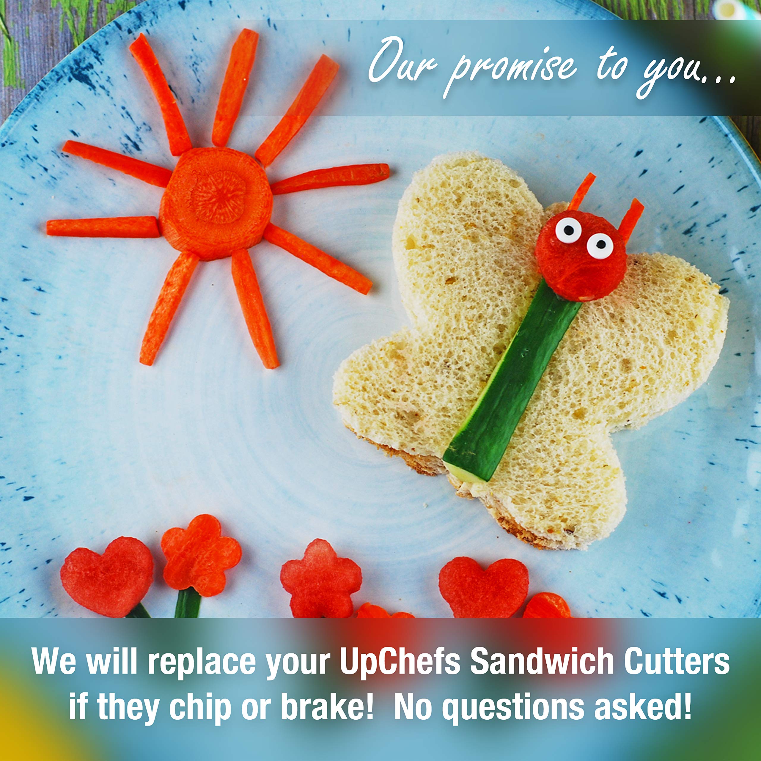 UpChefs Sandwich Cutters for kids - Create Healthy School Lunches in Minutes with These Fun Bento Lunch Box Accessories β Includes Fruit and Vegetable cookie cutters β Food Picks Plus Scratch Notes