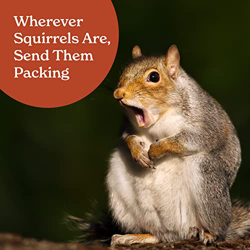 Vine Homecare - Squirrel Control Spray - Natural, Non-Toxic Squirrel Repellent - Quick, Easy Pest Control - Safe for Use Around Children and Pets - Made with Essential Oils - 32 OZ