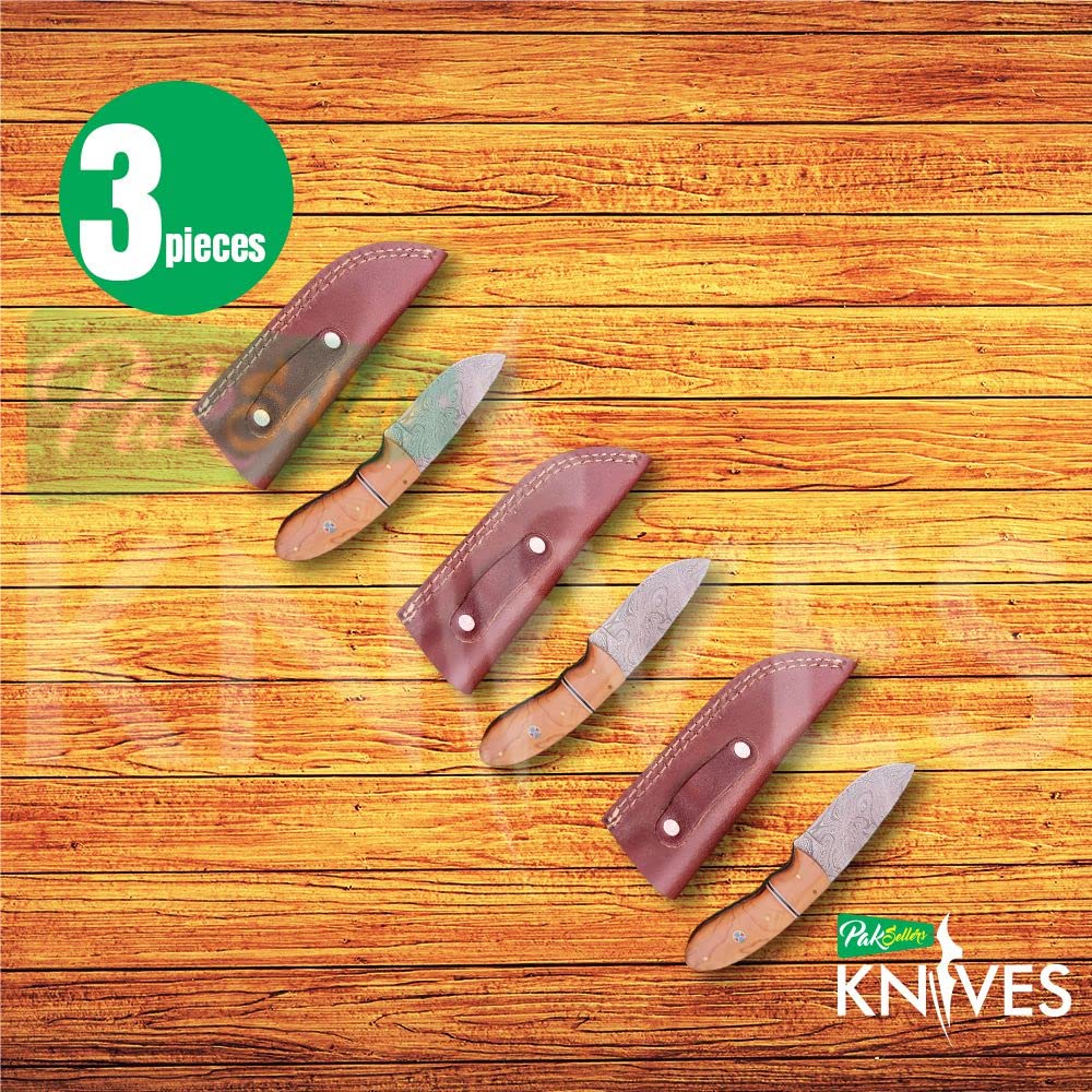 PSK20 - 1| 3| 5| 10| 15| 20 Pieces Pack Bulk Lot, Beautiful FIX Blade Damascus Steel Skinner knife Combination of Wood Handle GIFT, Bulk Discounted (3 Pieces)