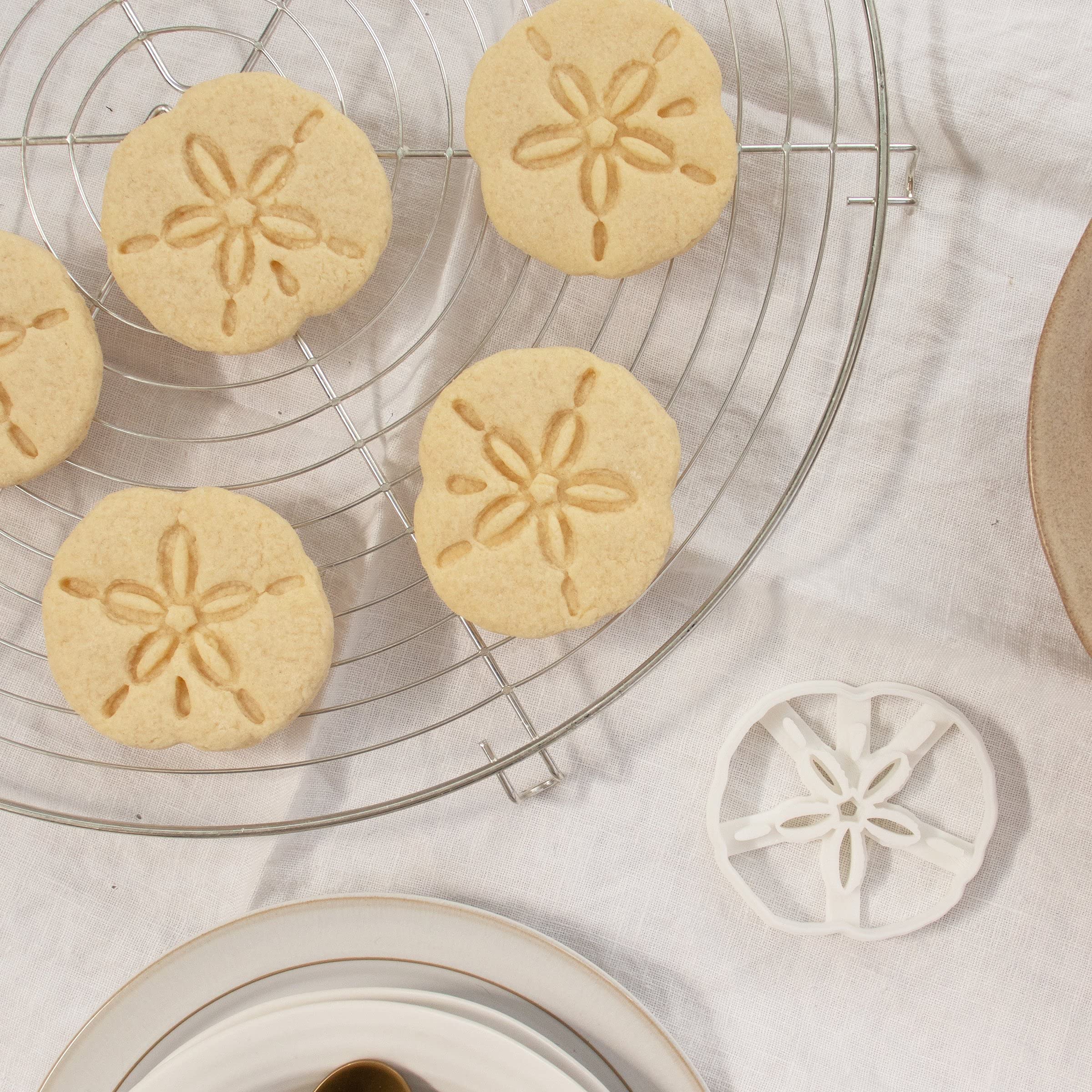 Sand Dollar cookie cutter, 1 piece - Bakerlogy