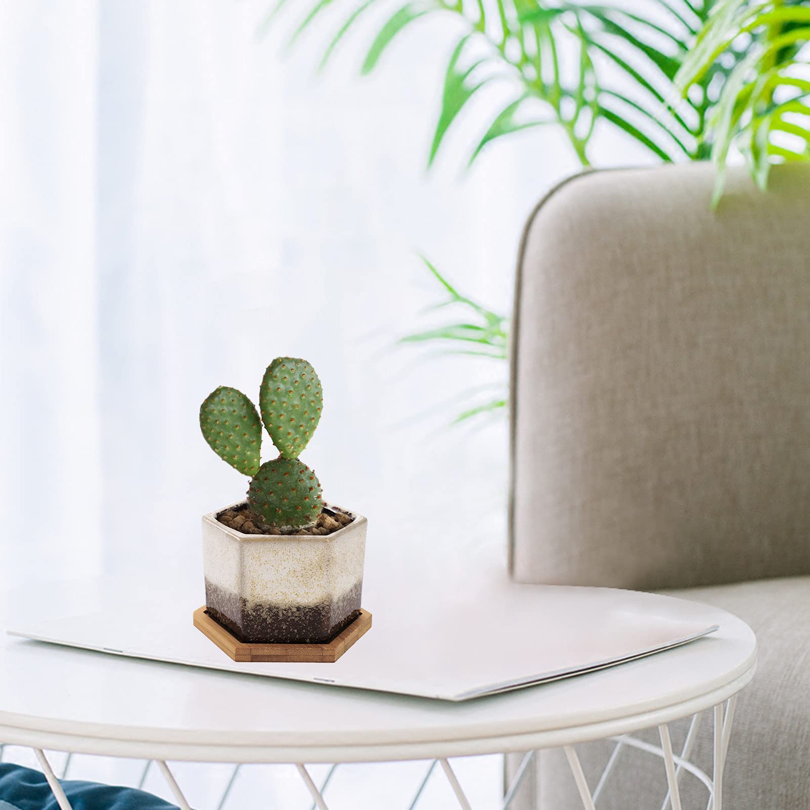 TOPZEA Set of 5 Ceramic Succulent Planter Pots, 4.2 Inch Hexagon Ceramic Glazed Cactus Pots, Geometric Mini Flower Plant Container with Drainage Hole & Bamboo Tray for Decorating Home Office