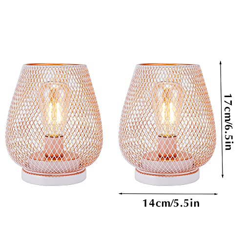 TRIROCKS Set of 2 Medium Battery Powered Outdoor Lantern 6.5'' High Metal Cage Table Lamp with LED Edison Bulb for Home Wedding Parties Patio Event Indoor Outdoor(Pink)