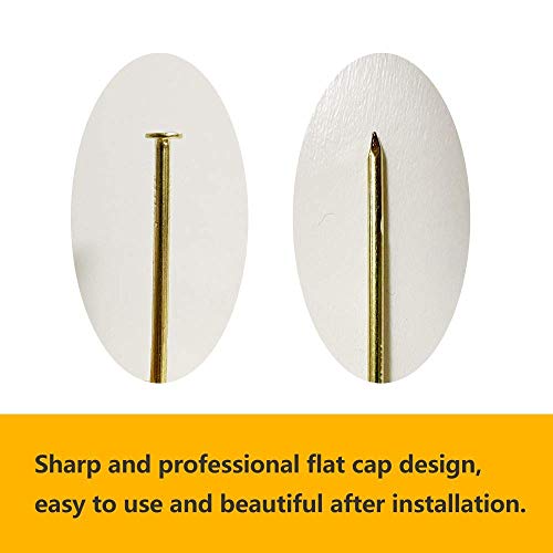Tuplip Fe- Nails 1-1/2''inch x 14 Gauge (290pc), Flat Head Nails Hardware (38mm), Brass Plated Gold Nails for Hanging Pictures/Wood/Plaster and Concrete Wall/Carpentry/Photo/Frame/Art DIY