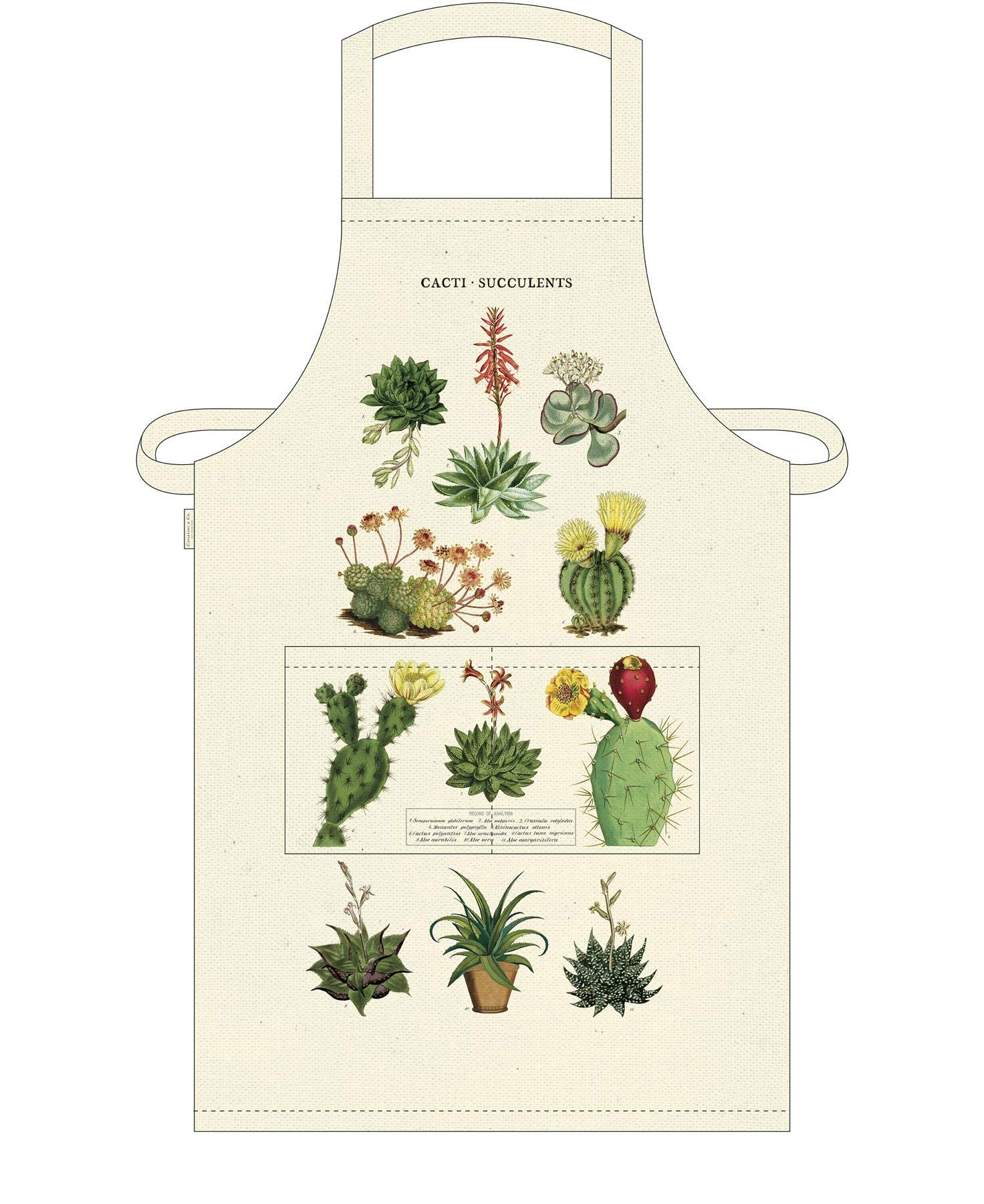 Succulents Vintage Apron