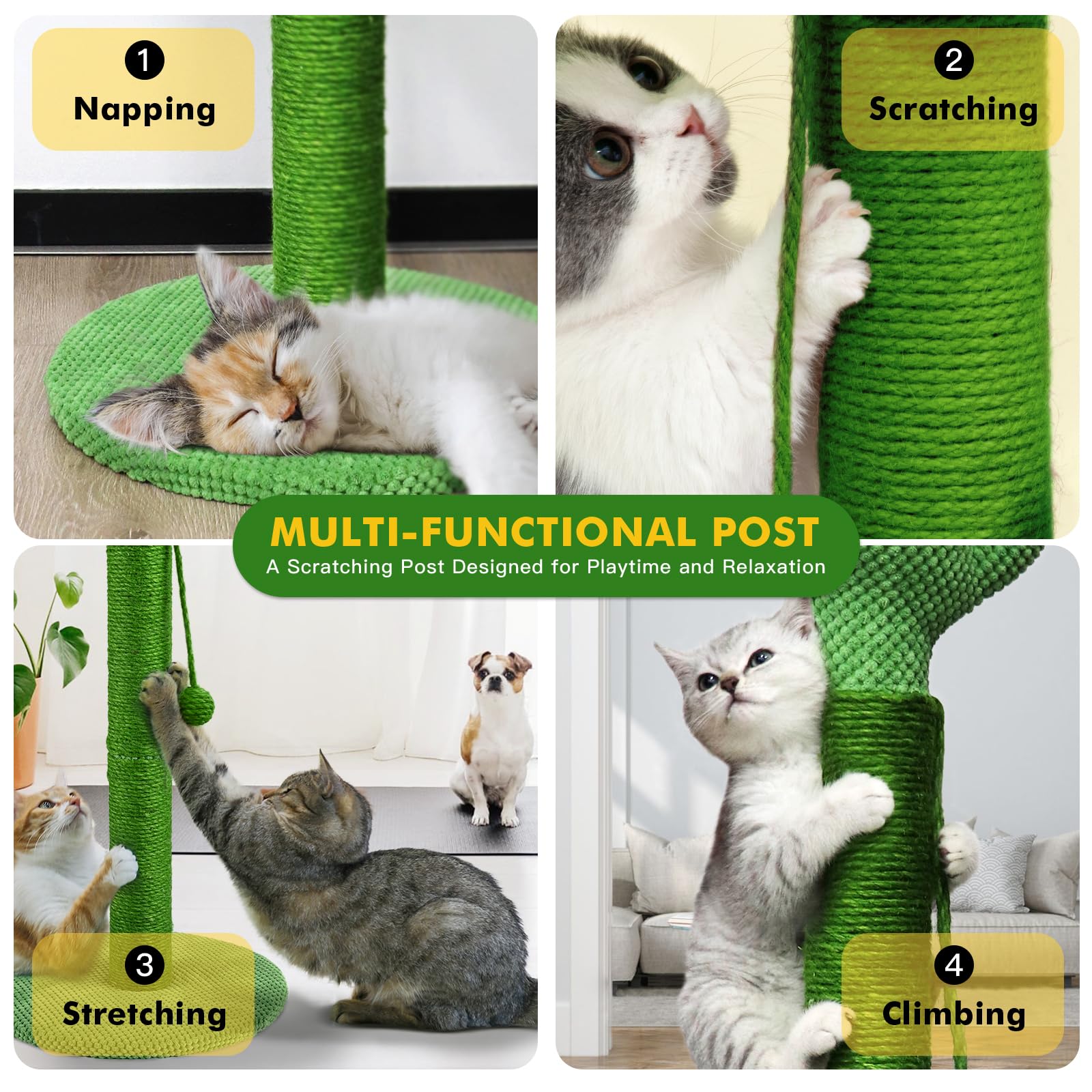 Mora Pets Cat Scratching Post Sisal Cat Scratcher for Large Cats 33 Inch Tall Scratch Post with Dangling Ball Cactus Cat Post for Indoor Kittens