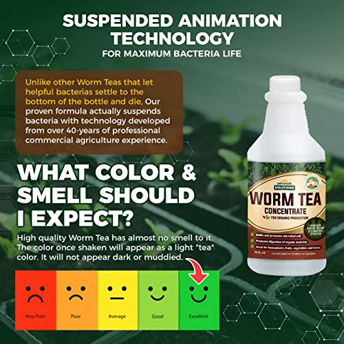 Worm Tea for Gardening Soil - Worm Tea Fertilizer Liquid - Worm Castings, Earthworm Casting Manure Fertilizer - Earthworm Tea Worm Castings - Worm Casting Concentrate (16 Oz)