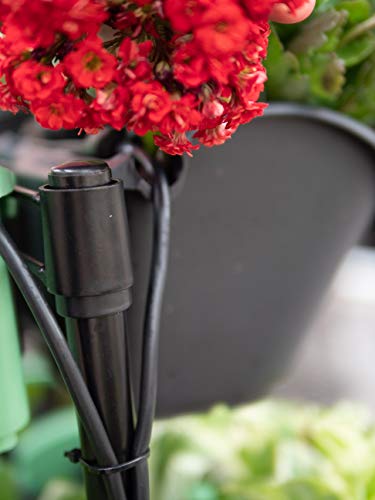 Watex Mobile Green Wall (Single Frame, Black), BPA Free Planters