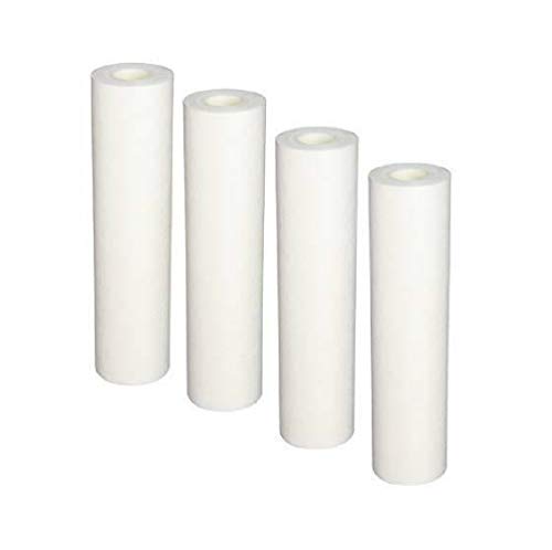 Watts Premier 560035, 5-Micron Sediment Replacement, 2-Pack