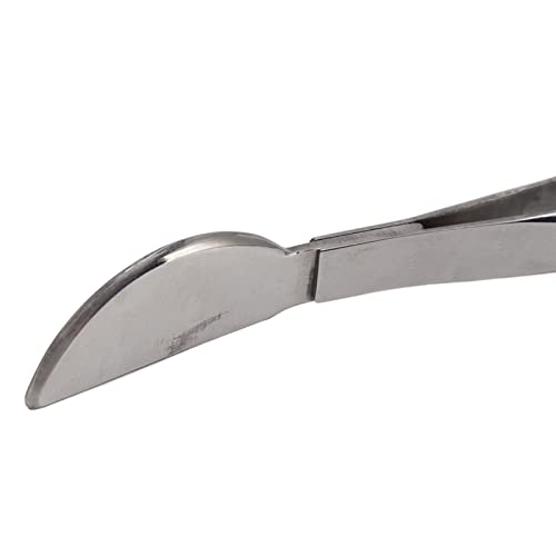 VINGVO Bonsai Tweezers, Edges Bonsai Tweezers Tool Ergonomic Handle Wear Resistant Rust Proof (Straight)