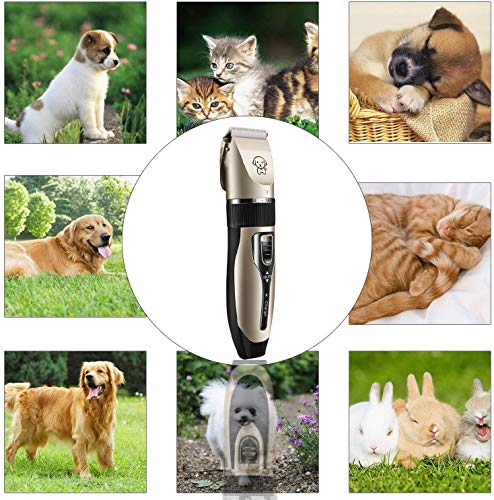 Pet Shaver Clippers Low Noise Rechargeable Cordless Electric Quiet Hair Clippers Set for Dogs Cats Pet