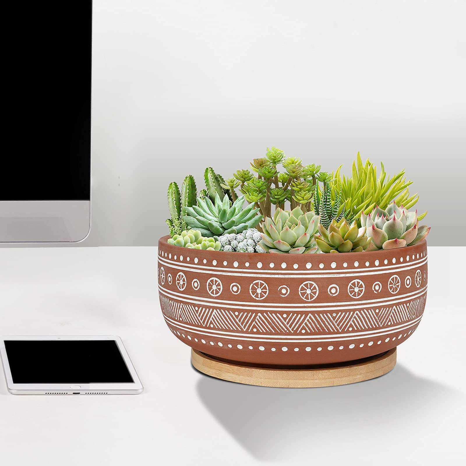 Thirtypot Terracotta Succulent Planter Pot with Drainage Hole, Large Round Shallow Bonsai Pot for Indoor Plants