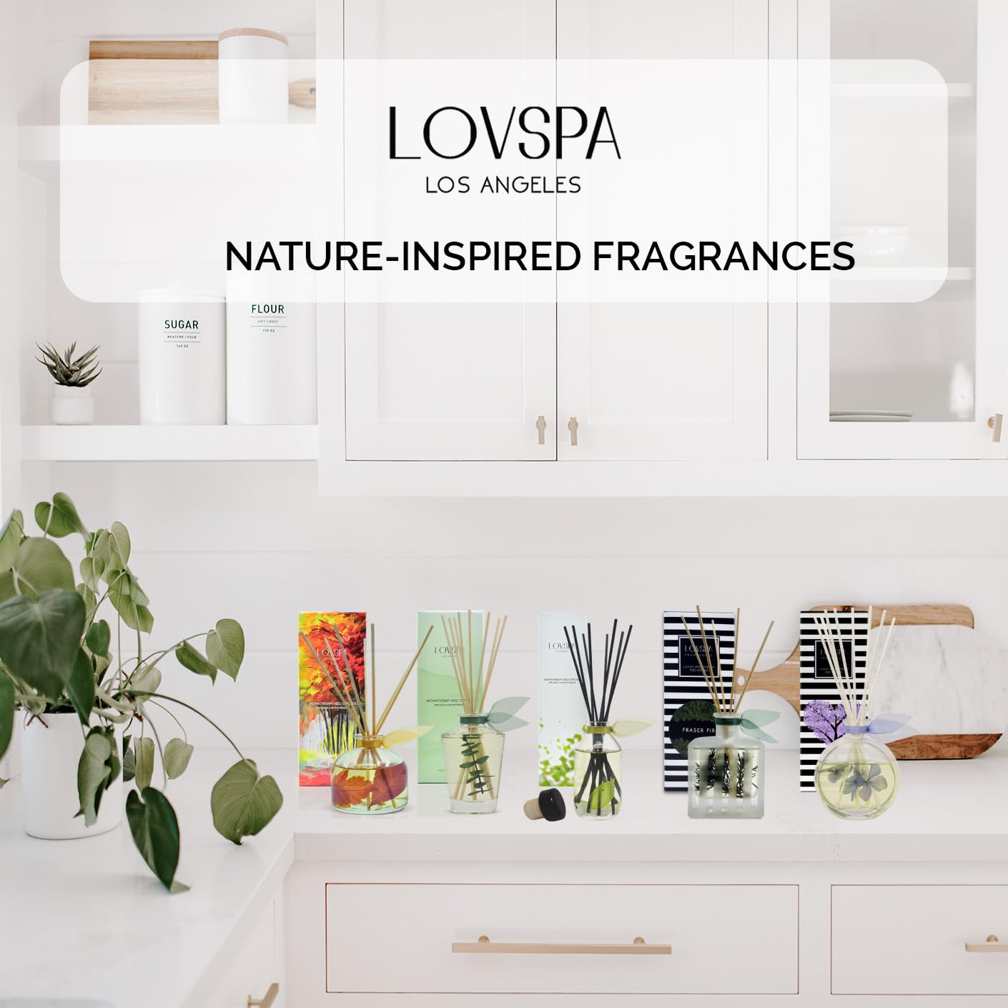 LOVSPA Coconut & Eucalyptus Reed Diffuser Oil Set - Scented Stick Room Freshener - Creamy Coconut, Eucalyptus, Mint, Tonka, Vanilla Sugar - Made in The USA