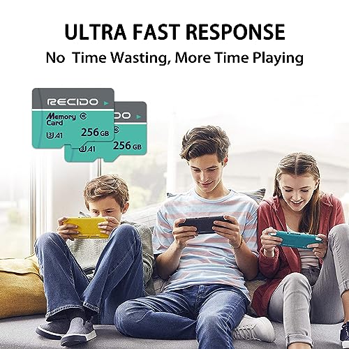 RECIDO 256GB TF Card,Mini Memory Card,4K UHD,Full HD,U3,Class10,A1,High Speed TF Flash Memory Card for Dash Cams,Phone,Drone,Tablet and PC