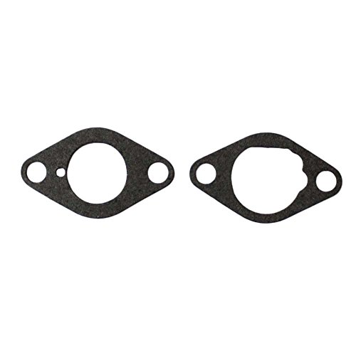 USPEEDA Carburetor for Coleman Powermate PW0872400 2400PSI 171cc 175cc Pressure Washer Fuel Line Filter