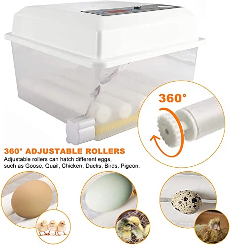YaeCCC Egg Incubator, Automatic Egg Hatching Incubator Temperature Control for Hatching Chicken Duck Quail Bird Eggs (16 Eggs)