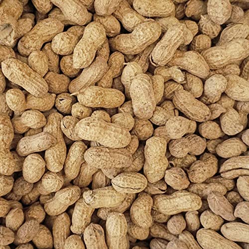 Wingfield Farm 25 Pound Virgin In Shell Raw Peanuts (Two 25lb Bag)